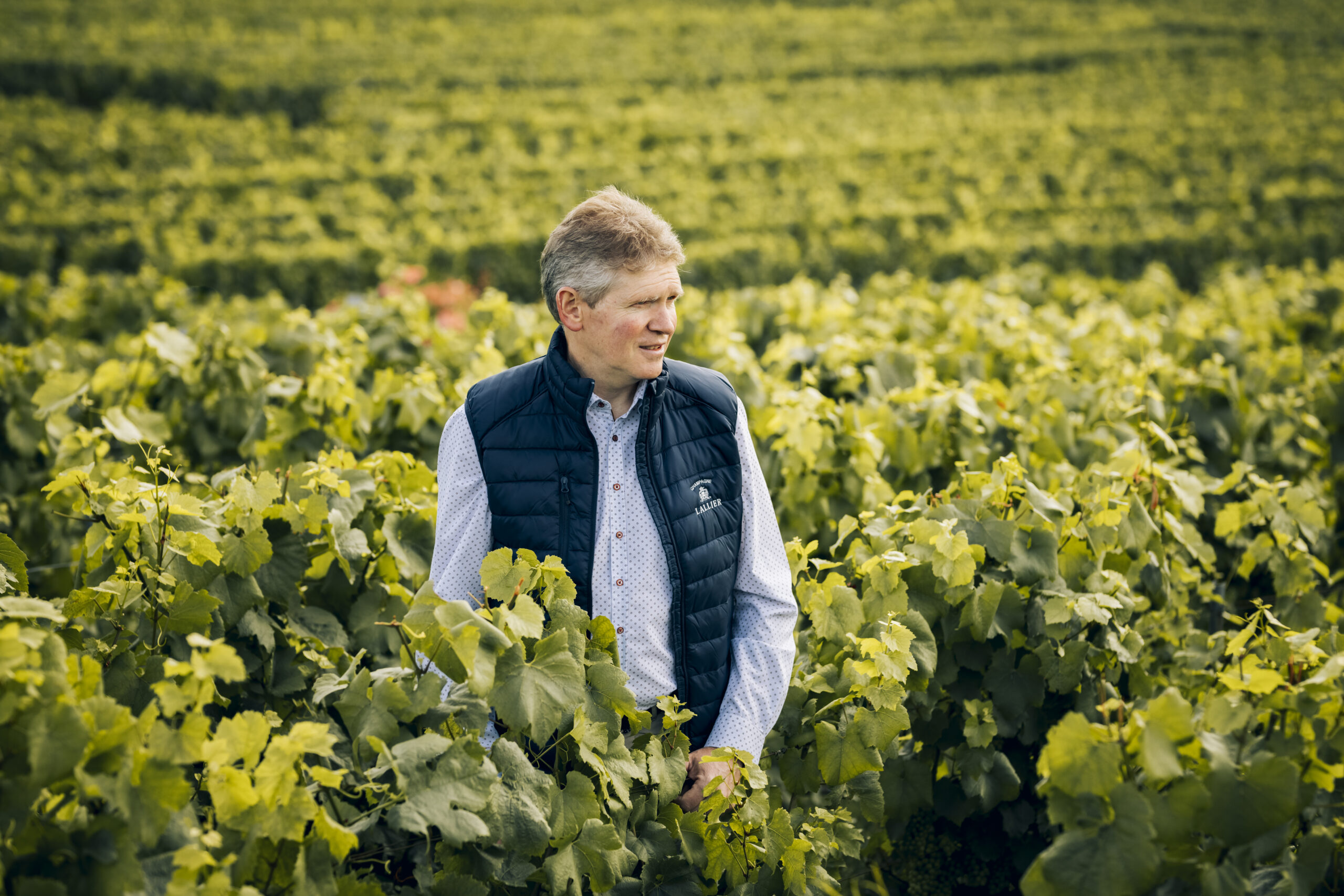 Champagne Lallier: R.020 launch - Red Lion PR